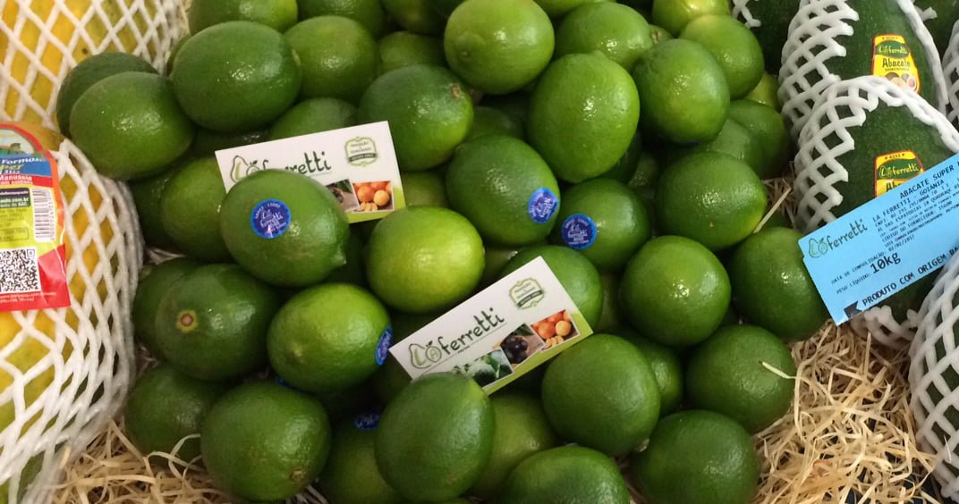 TOP 16 grandes benefícios que o limão pode oferecer – L.A. Ferretti Frutas